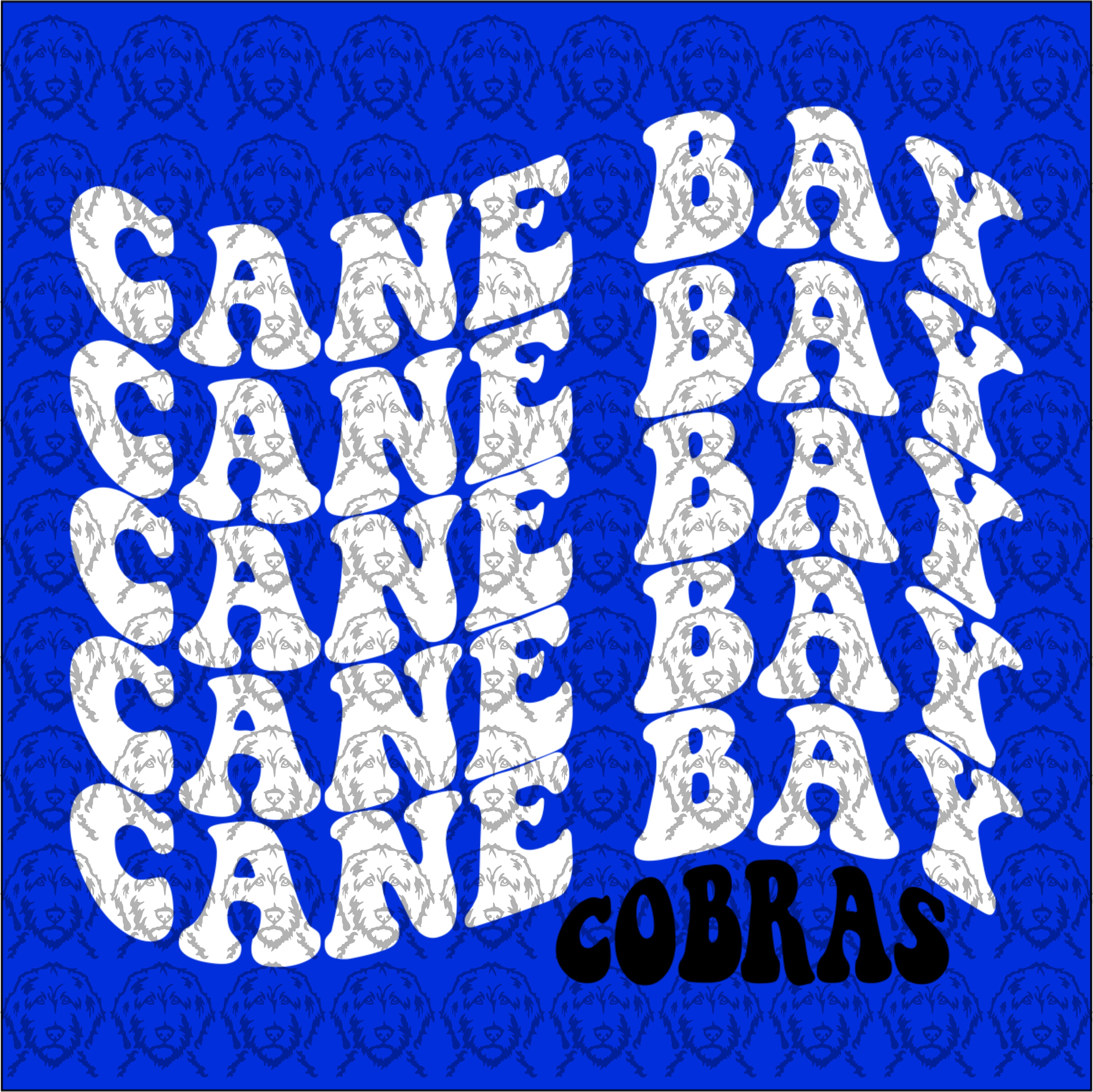 Cane Bay Cobras Design R Hoodie – Black Dog Prints